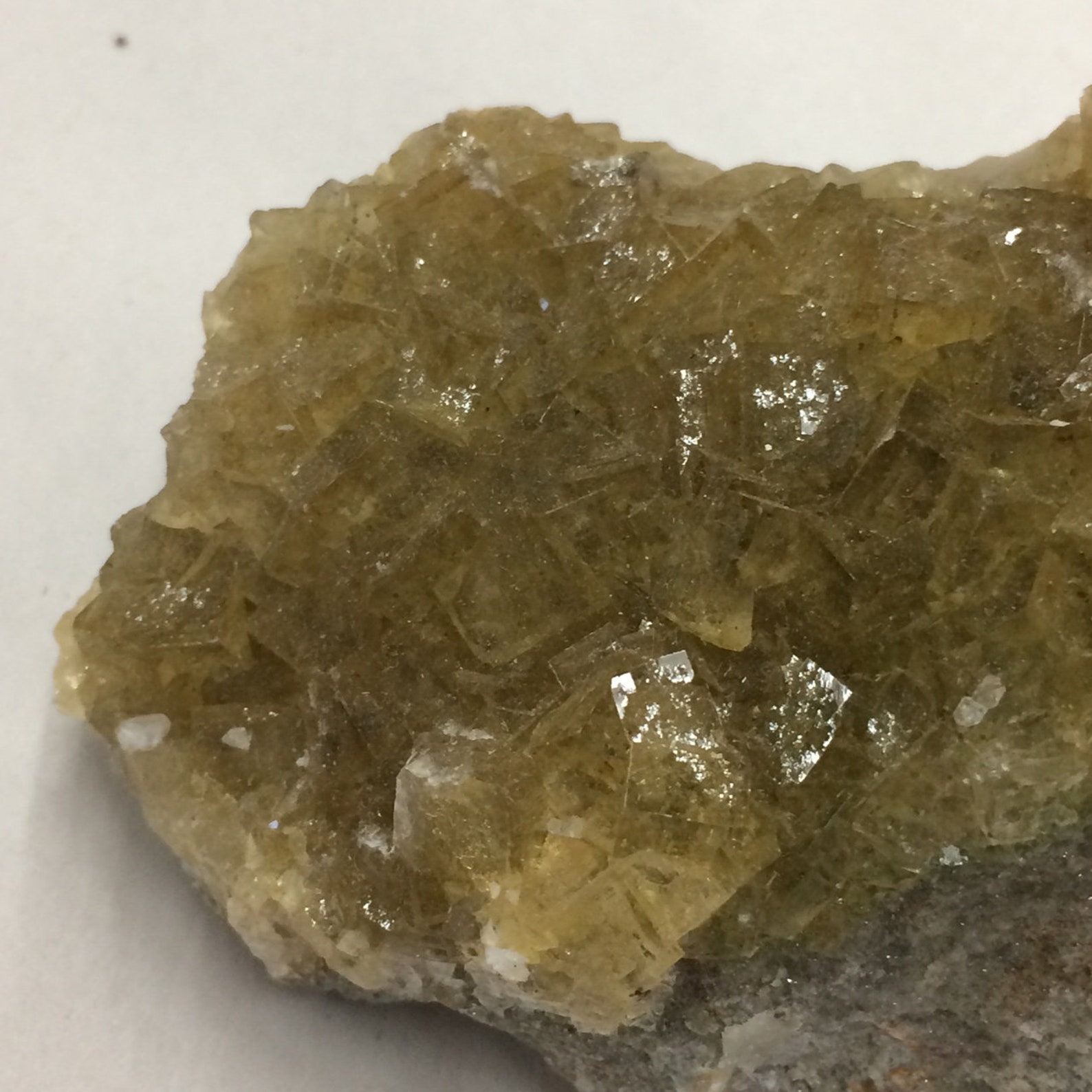 Gemmy Natural Gold Fluorite Crystals Display Specimen - Etsy.de