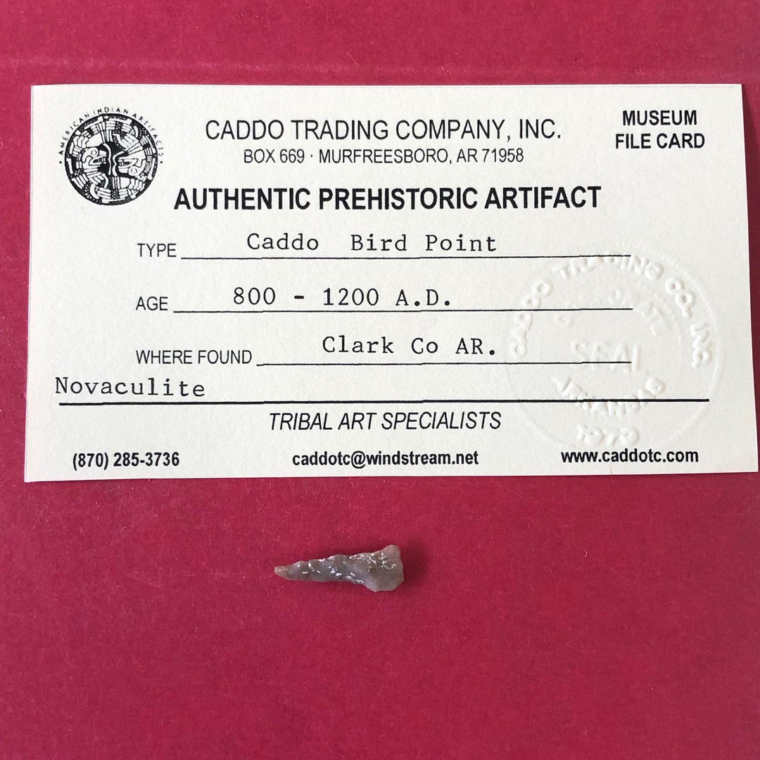 7115 Caddo Bird Point Arrowhead Indian Artifact Arkansas Native ...