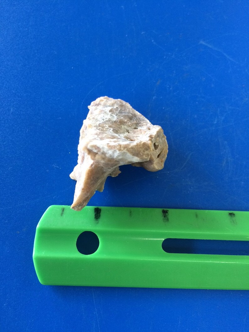 Cave, Onyx, Flow Stone, Mineral Specimen, Rock Specimen, Display ...