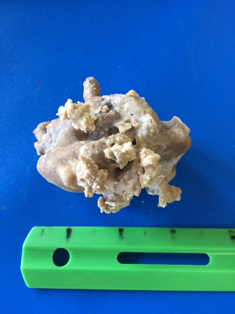 Cave Onyx Flow Stone Mineral Specimen Rock Specimen | Etsy