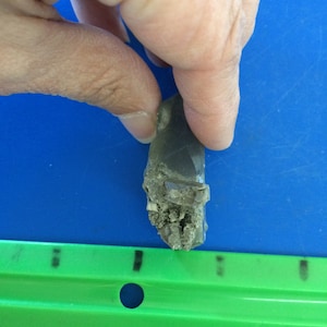 Clear, Barite, Linwood Mine, Iowa Barite, Barite Display, Natural ...