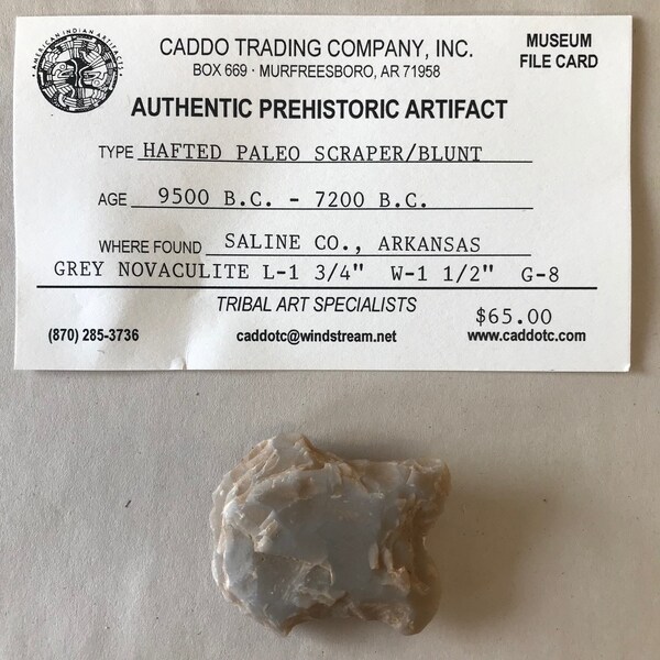 Paleo Artifact - Etsy