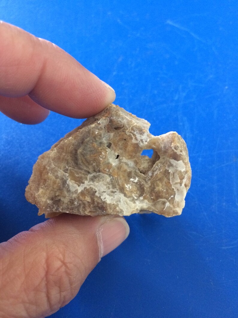 Cave, Onyx, Flow Stone, Mineral Specimen, Rock Specimen, Display ...