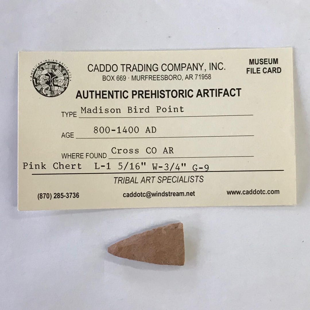 5466 Madison Bird Point Indian Arrowhead Artifact Arkansas Native ...