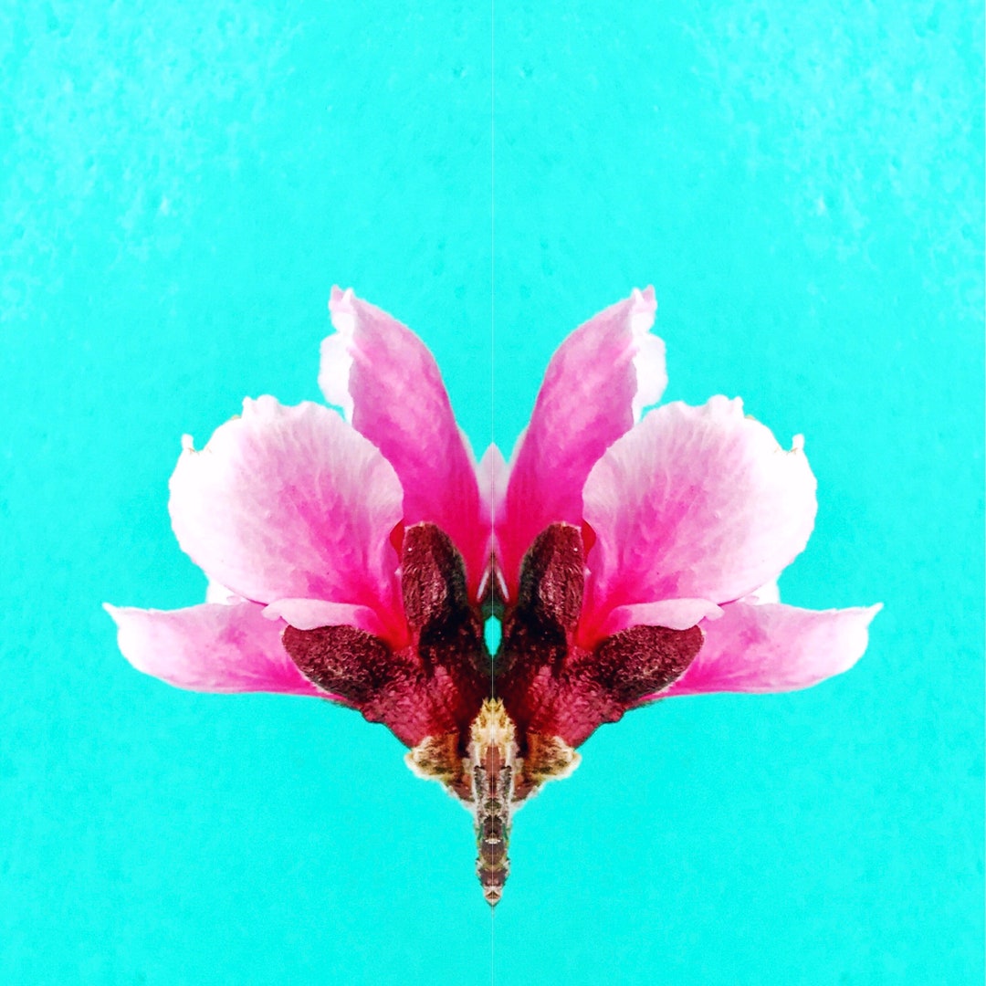 Pink Flower Bomb - Etsy