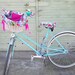 BICYCLE SET Cacti - Etsy