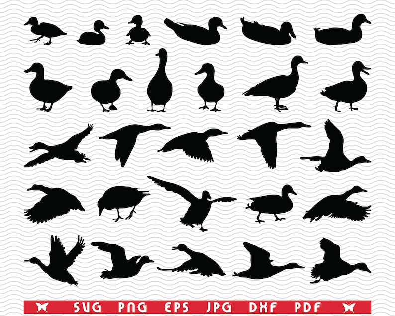 Patos SVG, siluetas negras, clipart digital, archivos eps, jpg, diseño ...