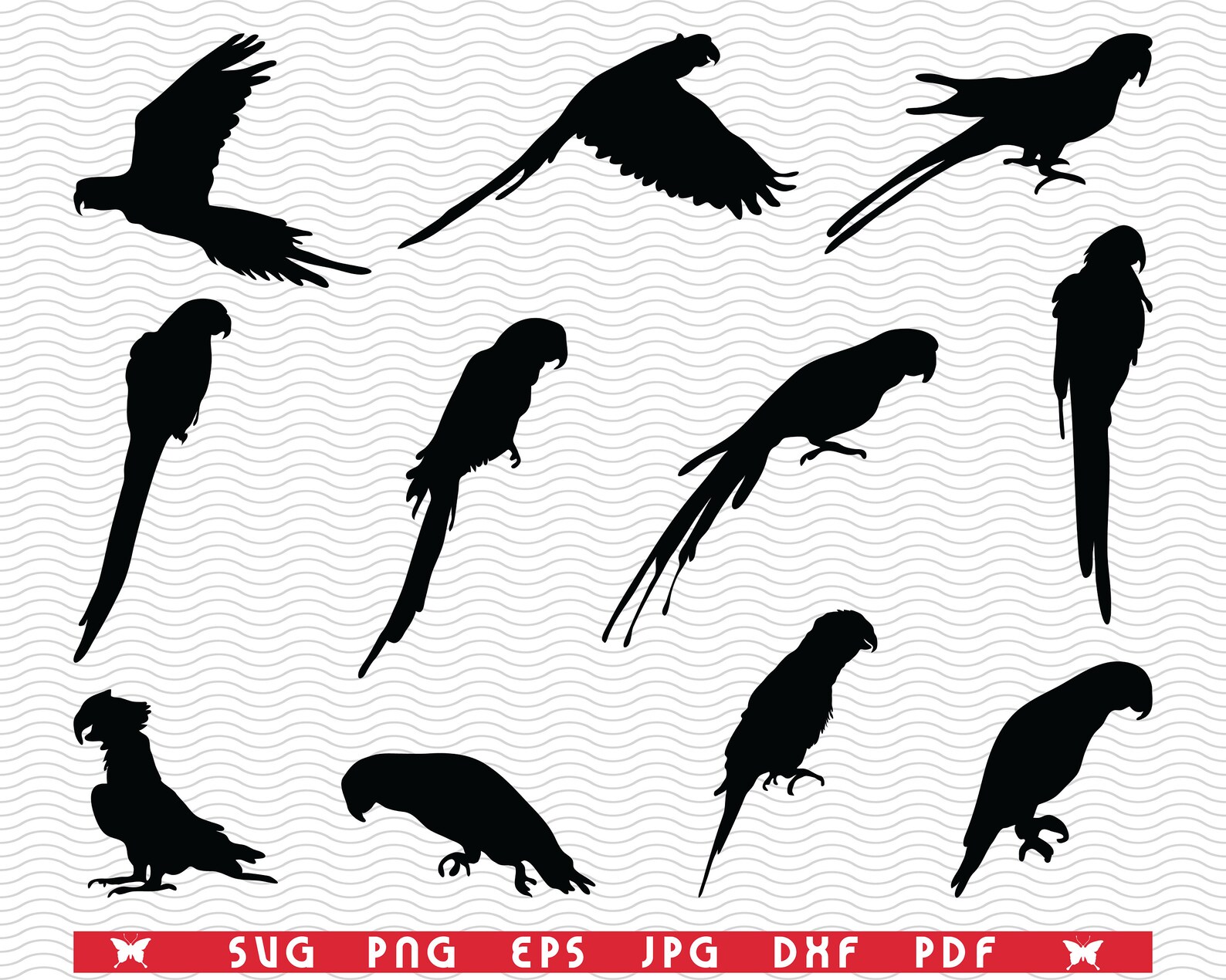 SVG Parrots, Ara, Black Silhouettes, Digital Clipart, Files Eps, Jpg ...
