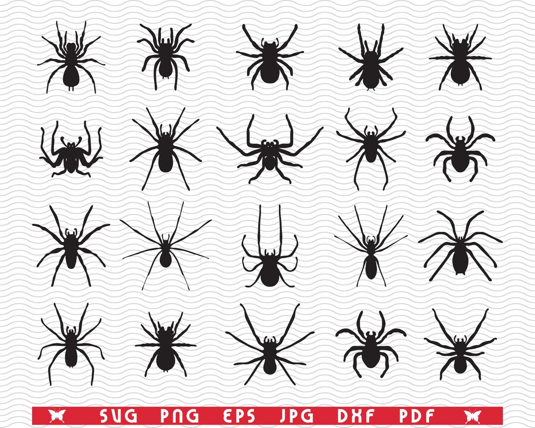 SVG Spiders, Black Isolaited Silhouettes, Digital Clipart, Files Eps ...