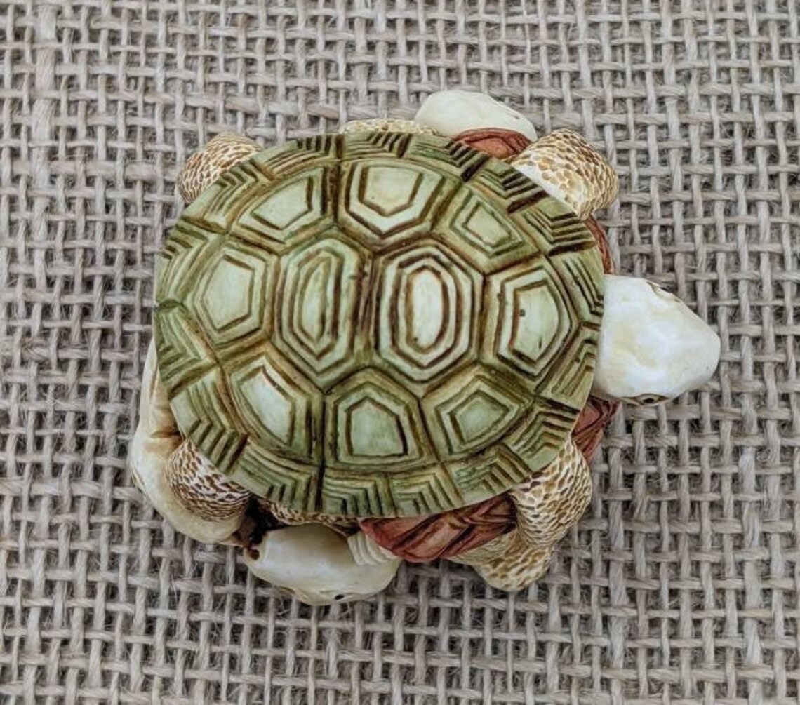 Turtle Figurine Trinket Box Harmony Kingdom Treasure Jest | Etsy
