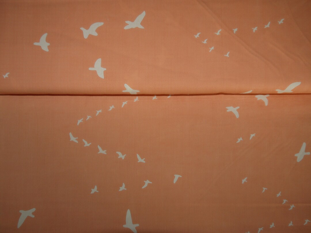 11,98Euro/metro Betulla Uccelli cotone biologico stormo di rondini ...