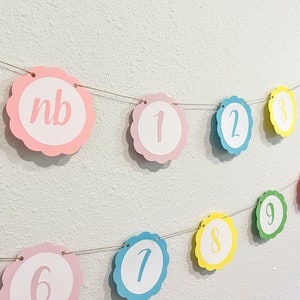Pastel Photo Banner First Birthday Monthly Milestone 1st 12 Month ...