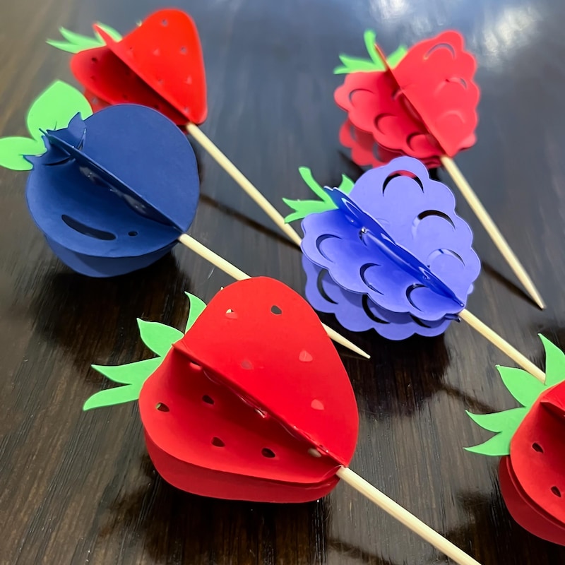 Raspberry Decor - Etsy