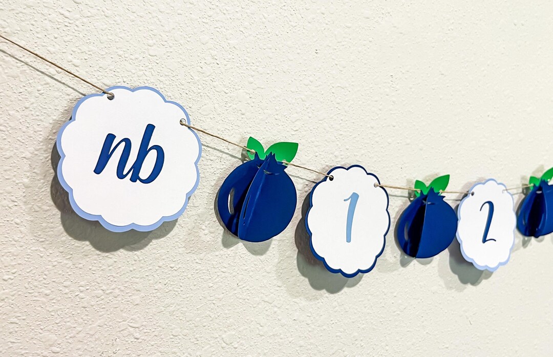 Blueberry Berry First Birthday Photo Banner Blue 1st First Boy Girl ...
