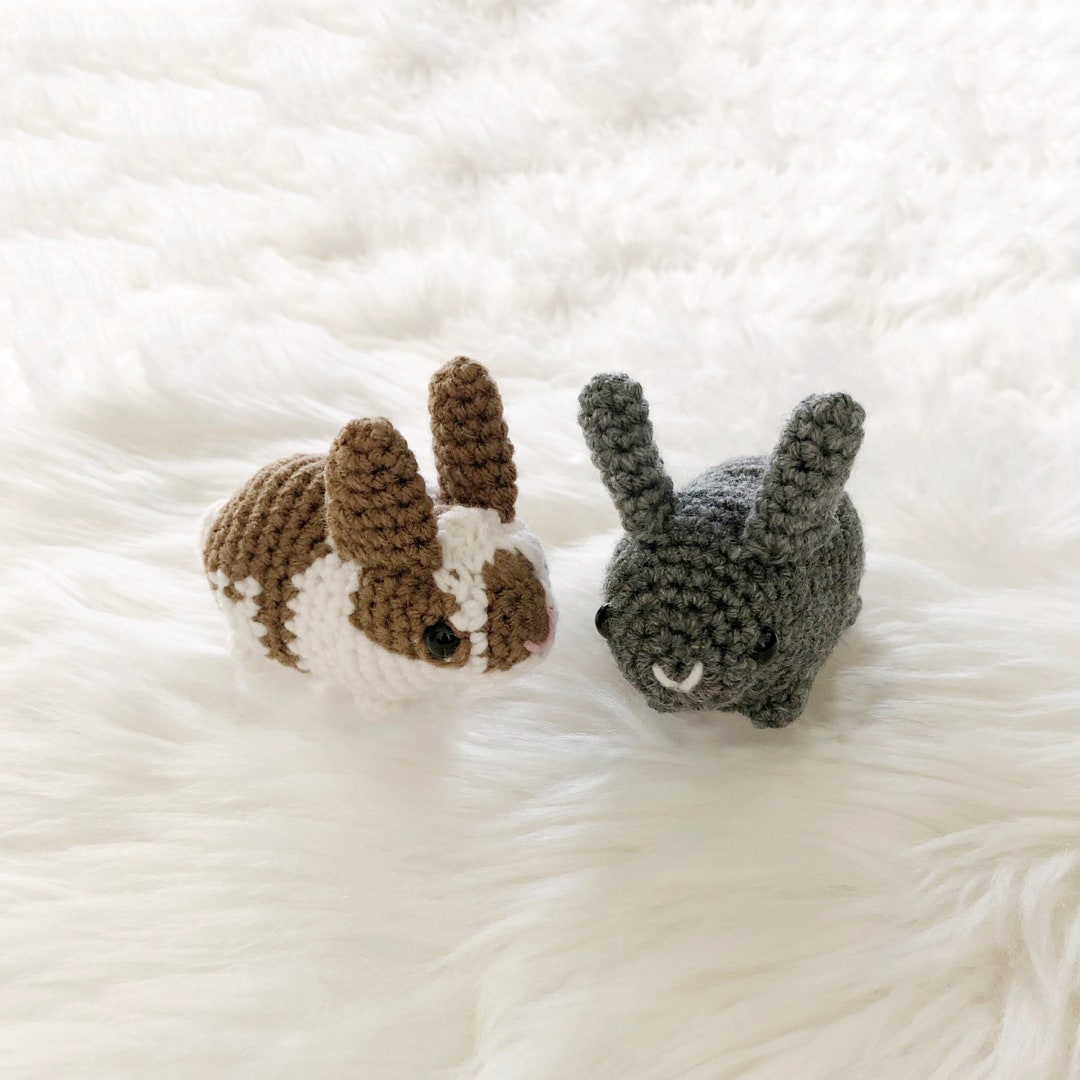 Custom Bunny Rabbit Plushie Crochet Amigurumi -custom Bunny -crochet ...