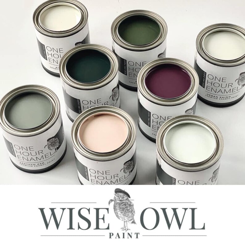 Wise Owl Paint One Hour Enamel Sea Salt Quart - Etsy