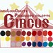Circus Big Top Theme Color Palette for Procreate - Etsy