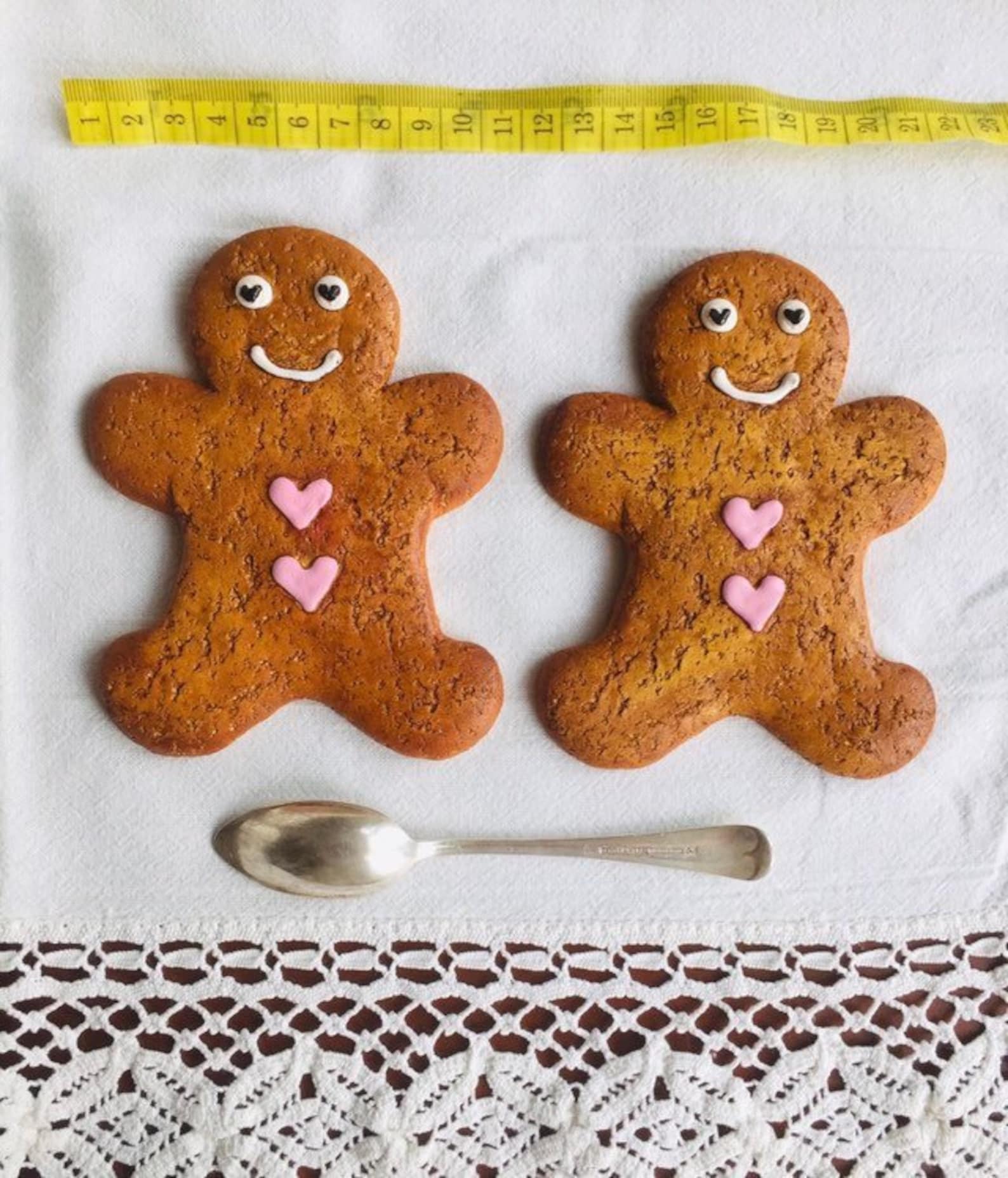 FAKE Gingerbread Biscuits Food Props Replica Cookies - Etsy UK