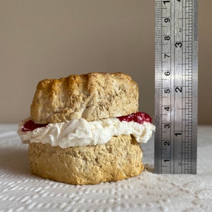 Replica Scones, Fruit Scones, Plain Scones, Scones With Jam & Cream ...