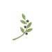 Olive Branch - Embroidery Design File - Instant Download - Available in ...