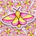 ROSY MAPLE MOTH Sticker - Pink Moth Sticker, Pastel Stationery ...