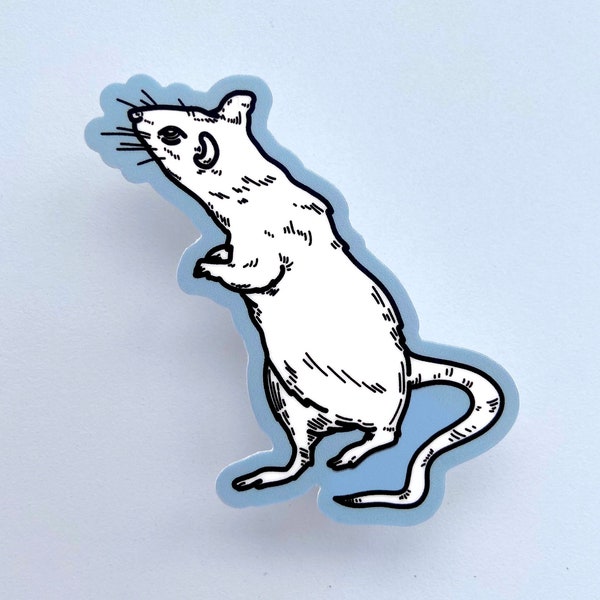 Rat Sticker - Etsy