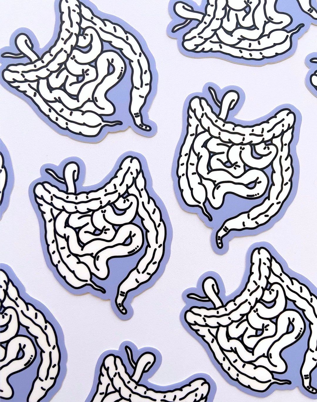 INTESTINES STICKER - Waterproof Anatomical Decal, Biology Science ...