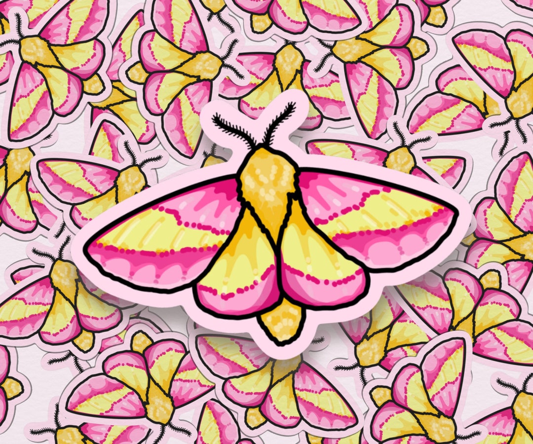 ROSY MAPLE MOTH Sticker - Pink Moth Sticker, Pastel Stationery ...