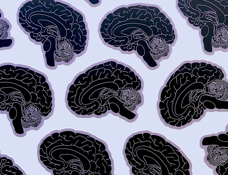 BRAIN STICKER - Vinyl Neuroscience Anatomy Sticker, Waterproof Brain ...