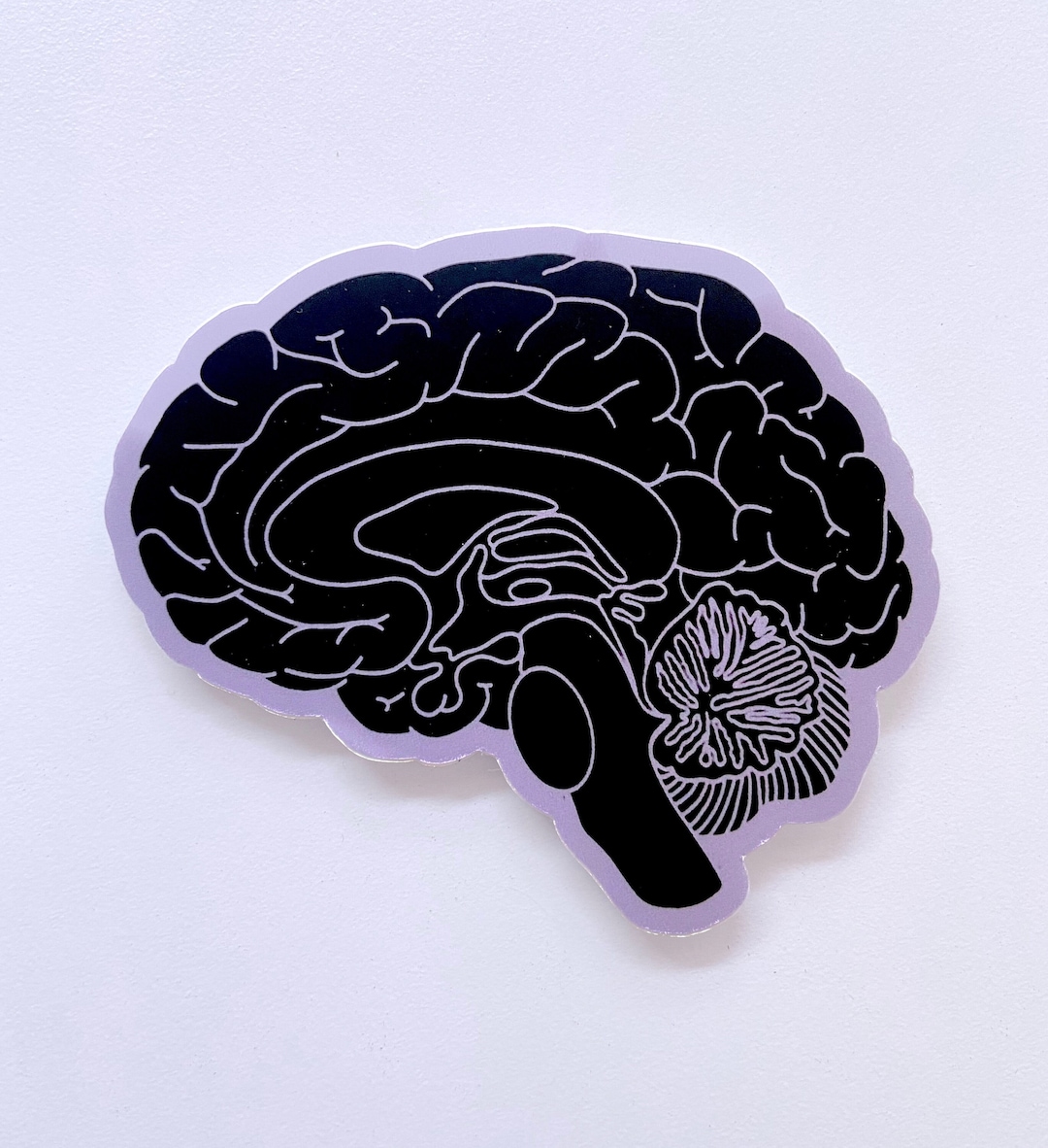 BRAIN STICKER - Vinyl Neuroscience Anatomy Sticker, Waterproof Brain ...