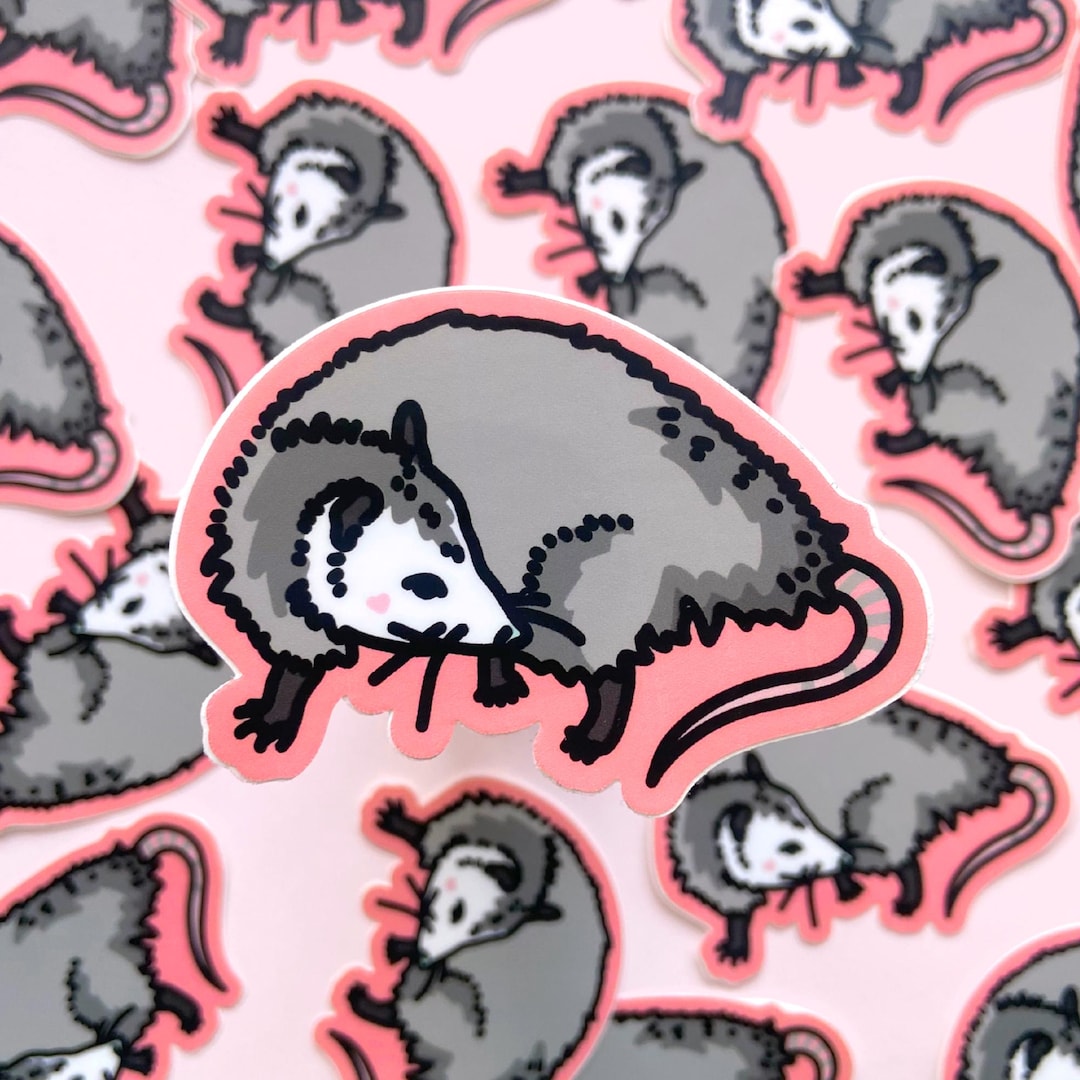 OPOSSUM STICKER - Vinyl Possum Pal, Animal Art - Etsy