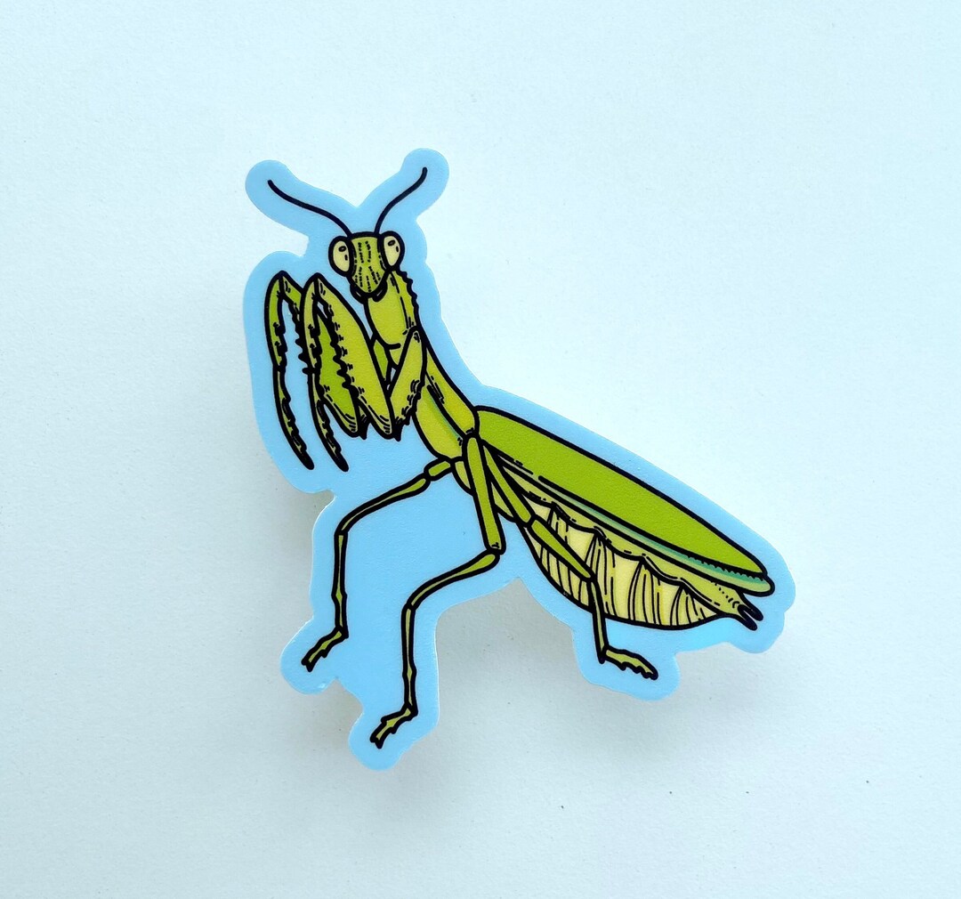 PRAYING MANTIS STICKER Mantid Art Insect Waterproof Sticker - Etsy