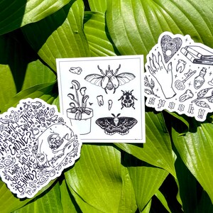 SPOOKY DOODLE STICKER - Spooky Curio Collection, Witchy Waterproof ...