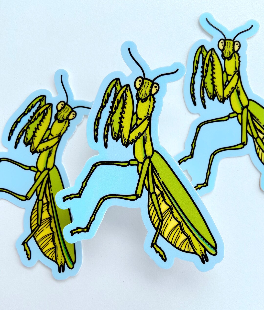 PRAYING MANTIS STICKER - Waterproof Bug Stickers, Insect Art Vinyl ...
