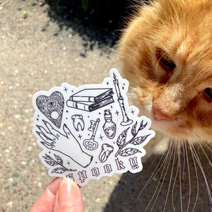 SPOOKY DOODLE STICKER - Spooky Curio Collection, Witchy Waterproof ...