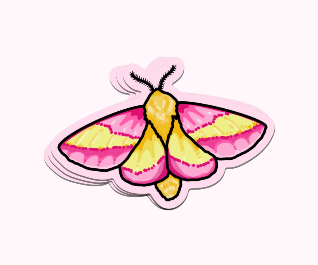 ROSY MAPLE MOTH Sticker Pink Moth Sticker, Pastel Stationery ...