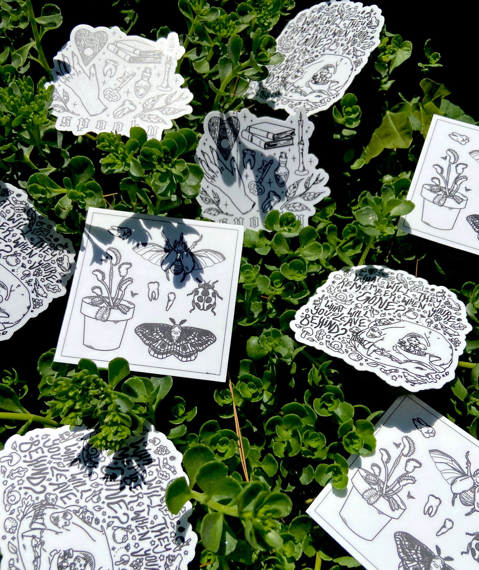 SPOOKY DOODLE STICKER - Spooky Curio Collection, Witchy Waterproof ...