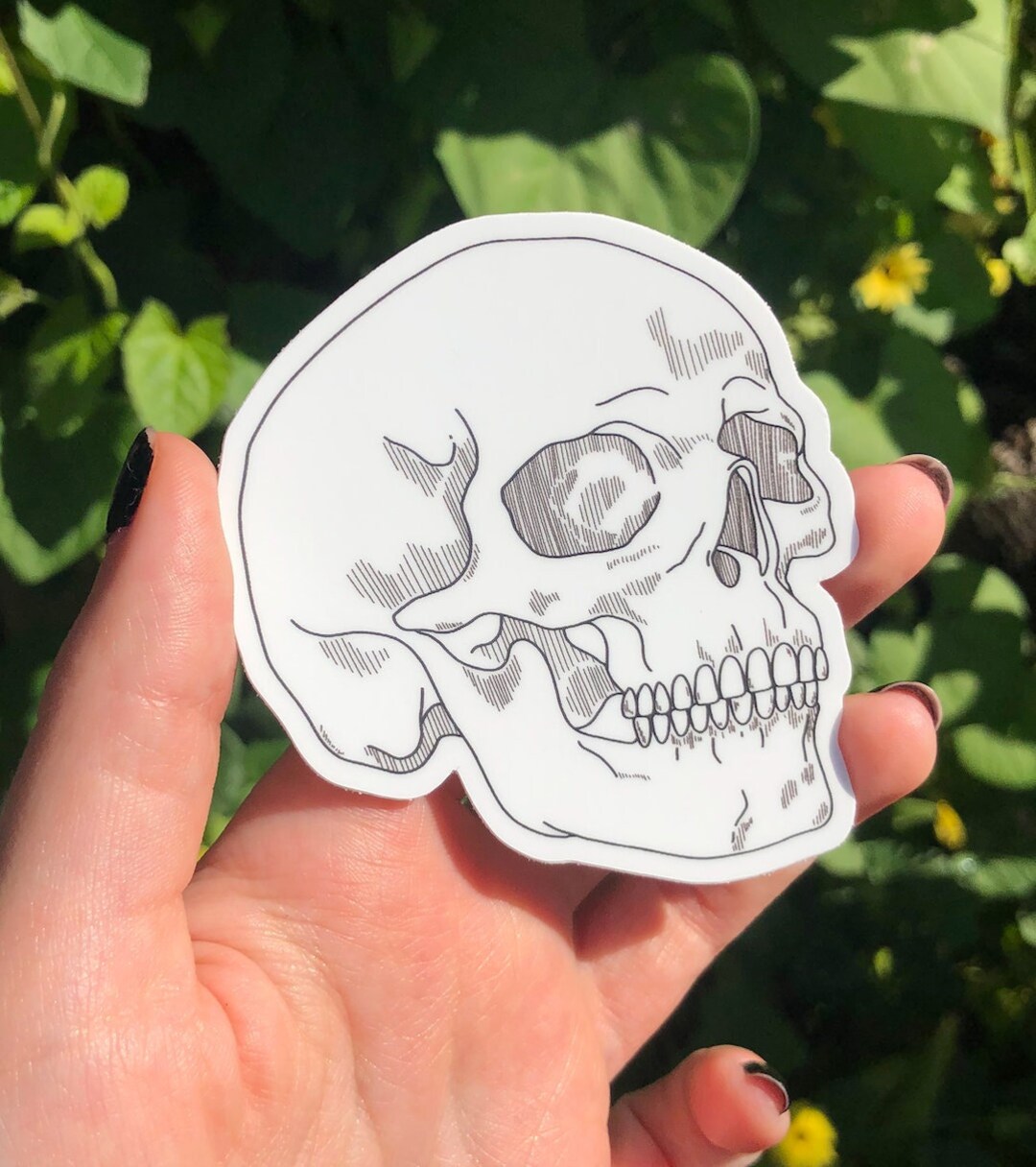 SKULL STICKER - Anatomical Vinyl Sticker, Waterproof Skull Sticker for ...