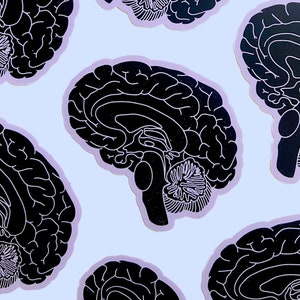 BRAIN STICKER - Vinyl Neuroscience Anatomy Sticker, Waterproof Brain ...