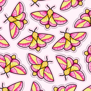 ROSY MAPLE MOTH Sticker - Pink Moth Sticker, Pastel Stationery ...