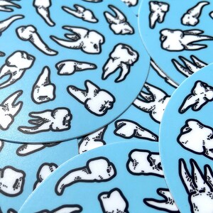 BUNCH OF TEETH Sticker - Human Teeth Sticker Circle, Anatomical Macabre ...