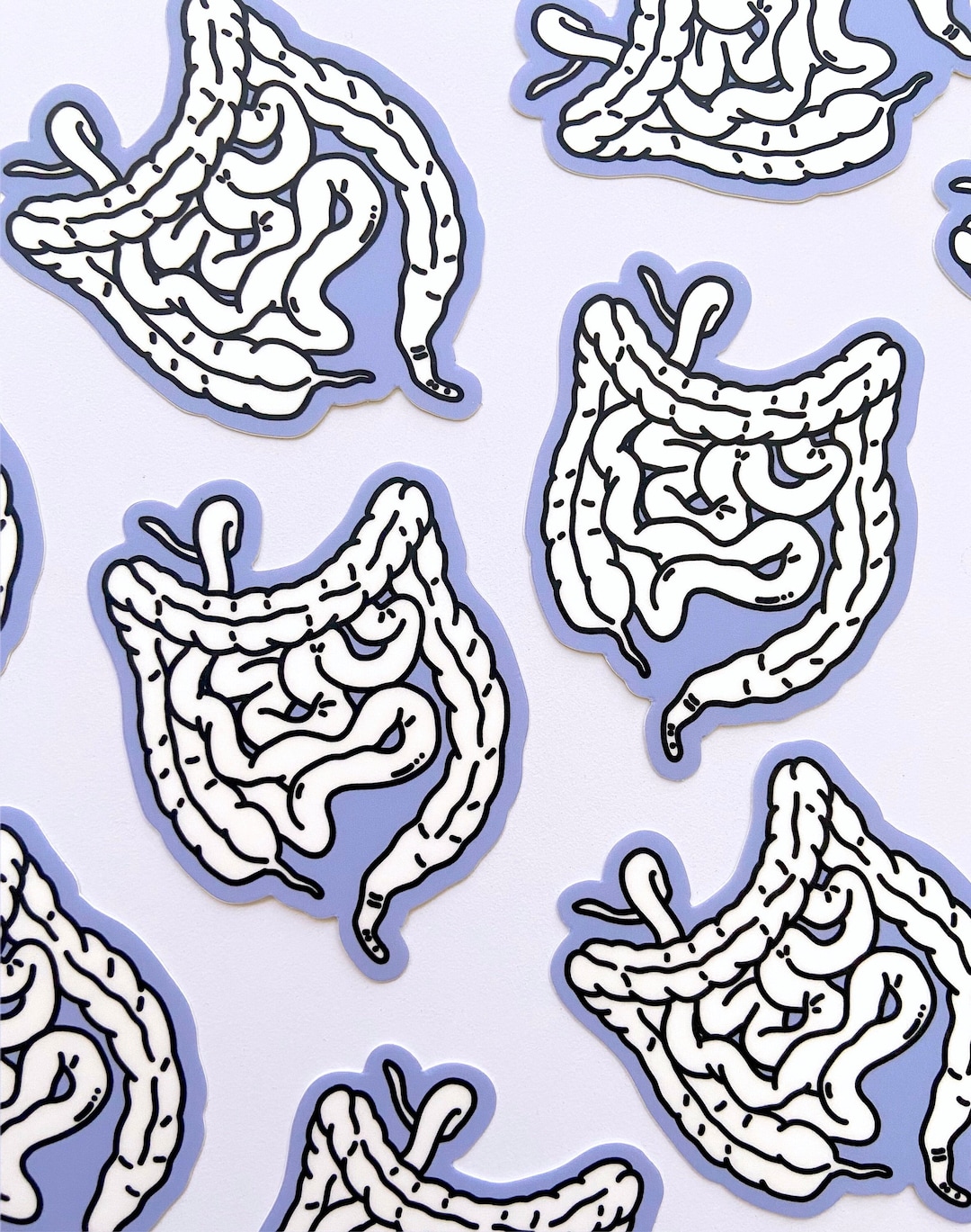 INTESTINES STICKER - Vinyl Anatomical Organ Sticker, Weird Biology ...