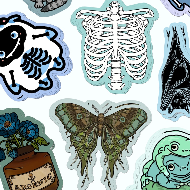 SWAMP MOTH STICKER - Swampcore Vinyl Insect Sticker, Waterproof Bug ...
