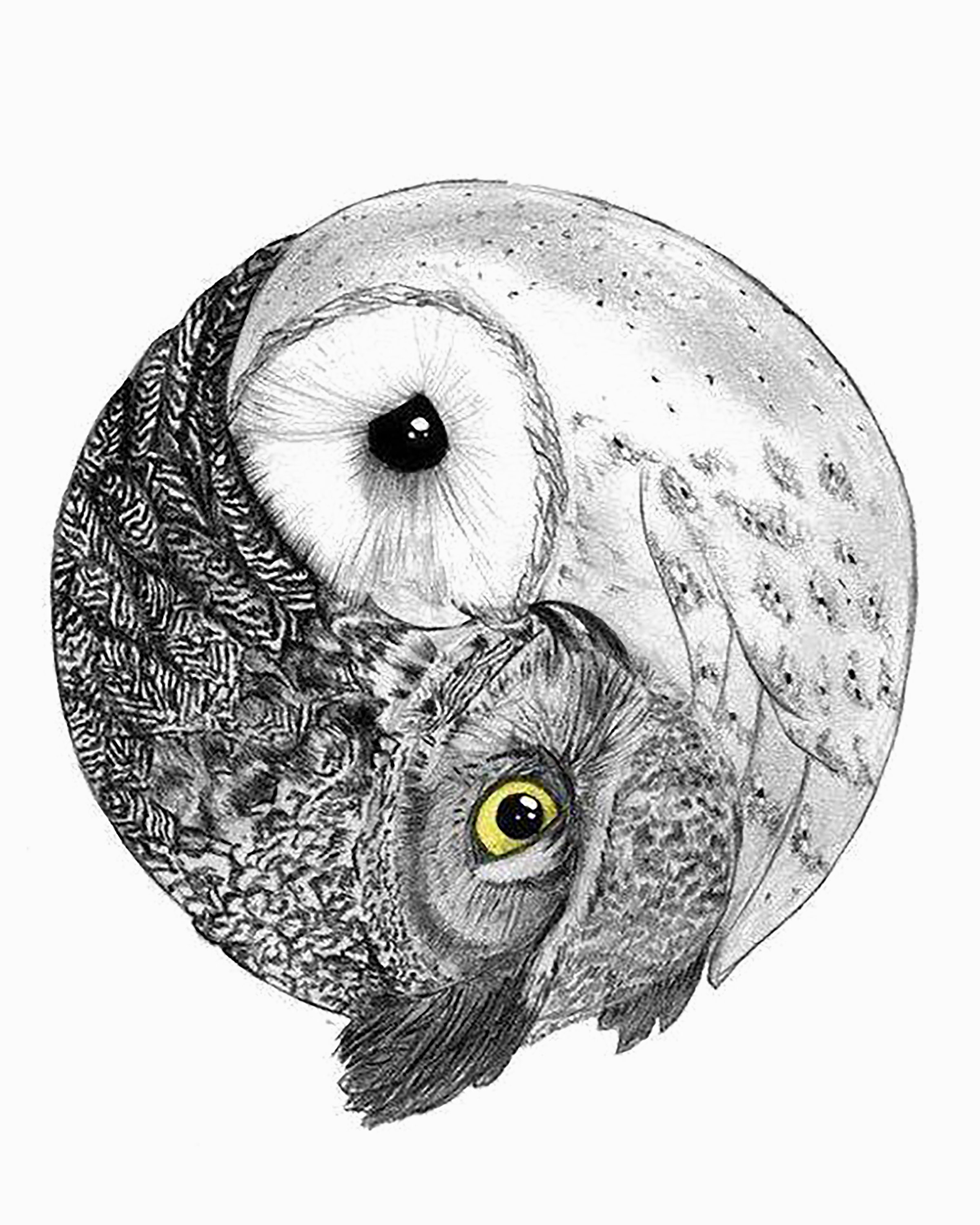 Owl Yin and Yang Art Print Taoist Art Chinese Art Black and White Wall ...