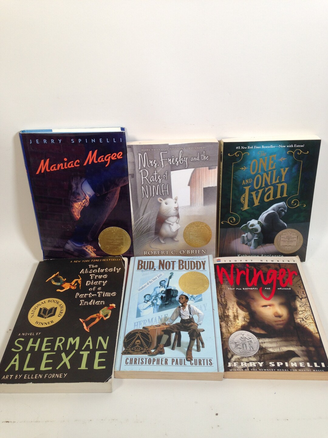 6 Newberry Award Winning Books for Young Readers 0624 - Etsy