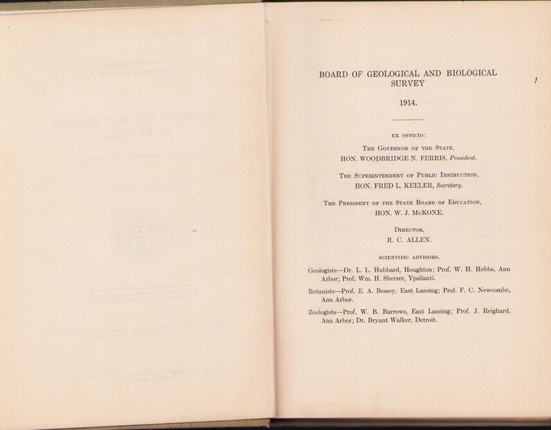 Vintage Book: the Brine and Salt Deposits of Michigan by Charles W ...