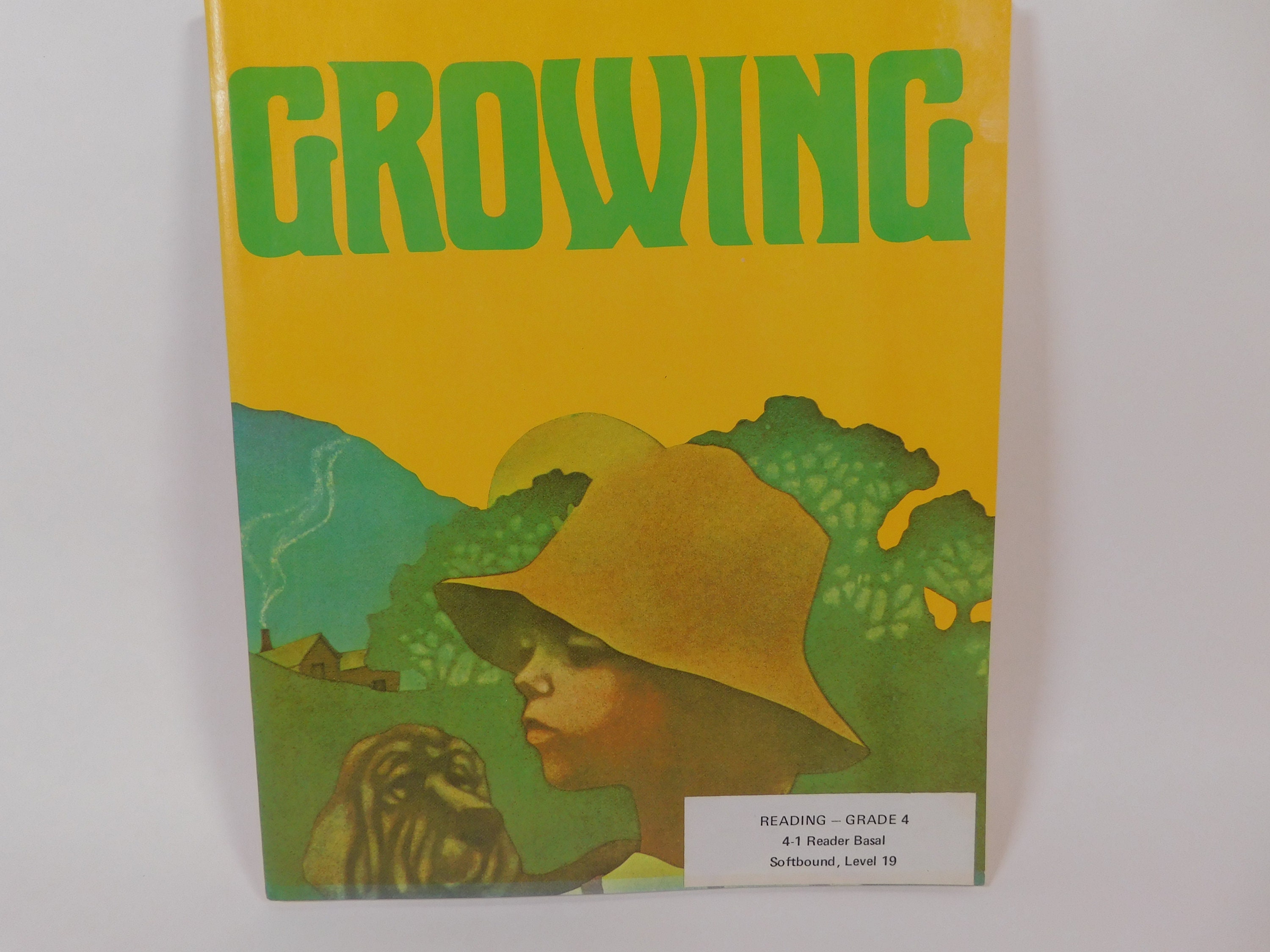 4 Books Series R The New Macmillan Reading Programs Grades 4/5 | Etsy