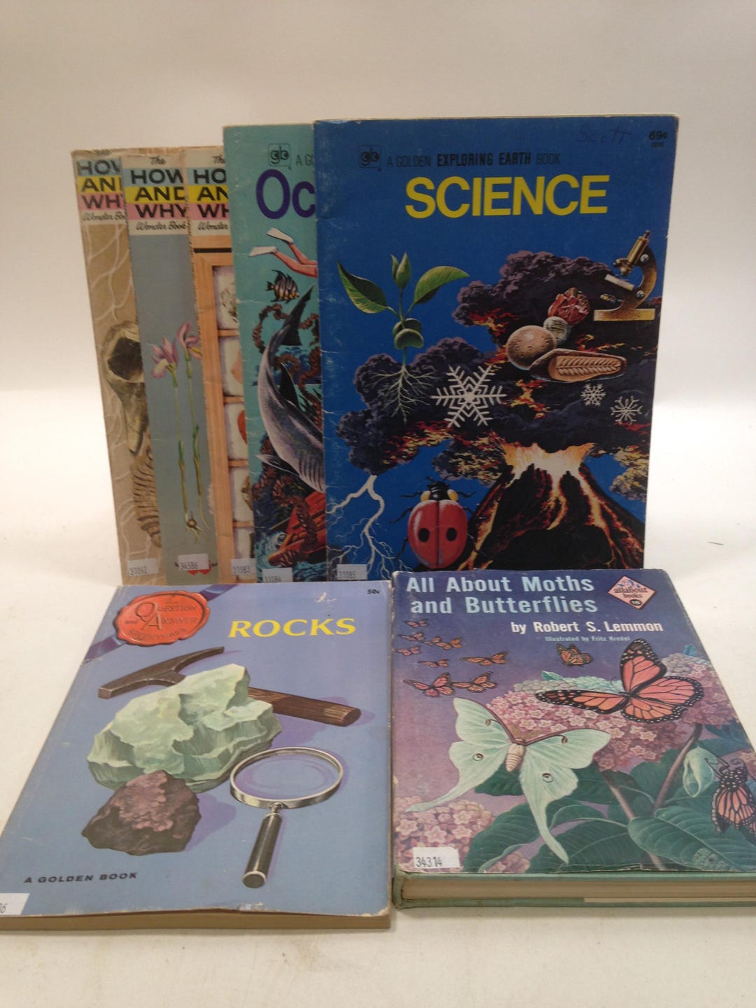 7 Science Books for Children, How and Why Series, Golden Exploring ...