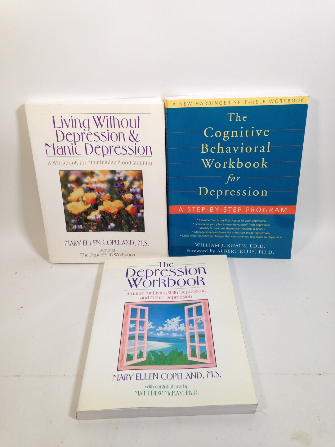 3 Workbooks on Dealing With Depression 0624 - Etsy