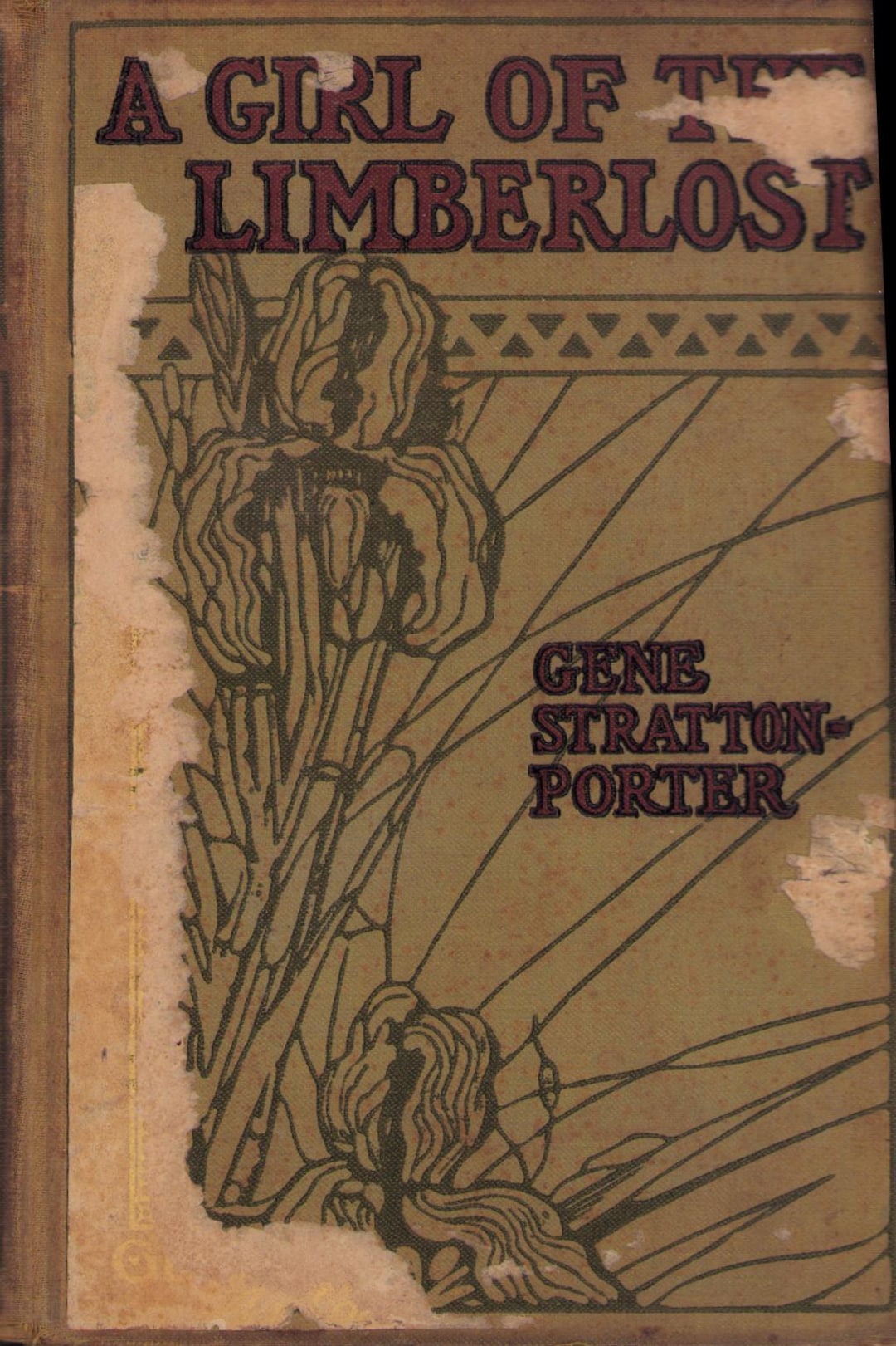 Vintage Book: A Girl of Limberlost by Gene Stratton-porter 1909 0625 - Etsy